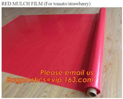 Cina film perforato di messa a terra, film della barriera del vapore, film della serra, Panda Film agricolo, film riflettente di Maylar in vendita