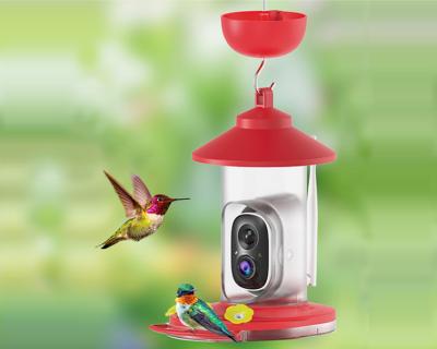 China Ant Moat Design Smart Hummingbird Feeder Hanging & Pole Mounting for sale