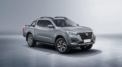 China DFSK D1 EV Te koop