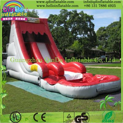 China 2015 giant inflatable water slide hot sale inflatable shark water slide for kids play for sale