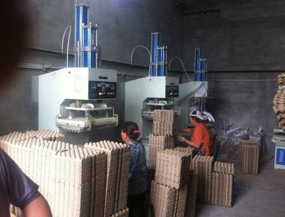 China Paper Egg Tray Molding Machine, Paper Egg Tray Forming Machine, Egg Carton Making Machine for sale