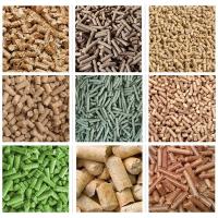 China Automatic Control Feed Grinding Machine 12mm Pellet Making Machine for sale