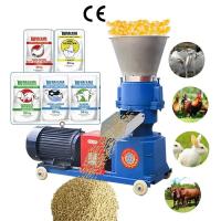 China Automatic Control Feed Grinding Machine 12mm Pellet Making Machine for sale