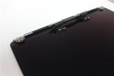 Cina Schermo LCD del Macbook Pro Retina A2289 in vendita
