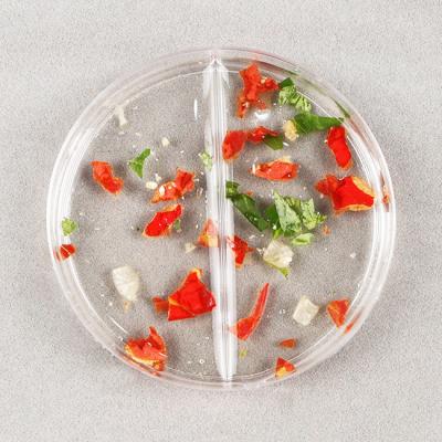 Cina Compartimento di Petri Dish 2 della cultura del tessuto di ricerca di scienze biologiche in vendita