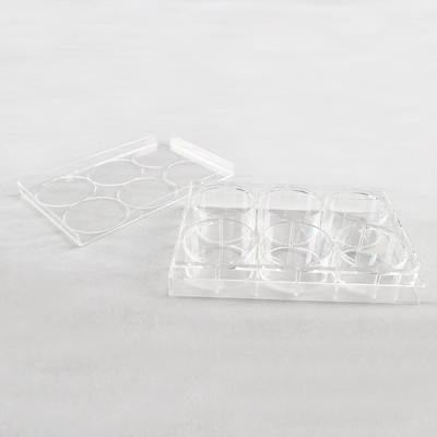 Cina Microbiologia buona del piatto di coltura cellulare del tessuto 6 di irradiazione gamma in vendita