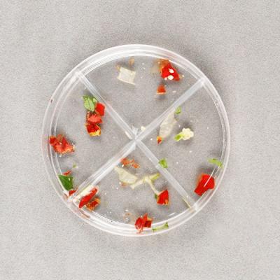 Cina Pacchetto di plastica di Petri Dish Cell Culture Variety di 4 compartimenti in vendita