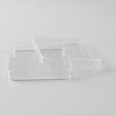 Cina Capsula di Petri di plastica del tessuto di Integrid del quadrato del polistirolo Petri Dish With Grid in vendita