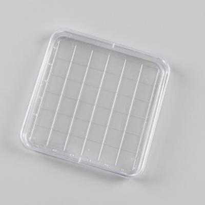 Cina Capsula di Petri di plastica del tessuto di Integrid del quadrato del polistirolo Petri Dish With Grid in vendita