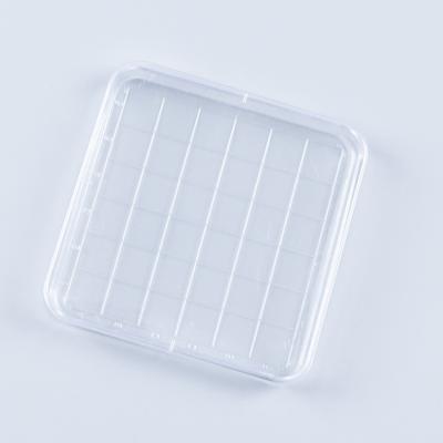 Cina Quadrato sterile Petri Dish Smooth Surface 90x15mm in vendita