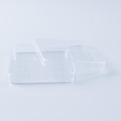 Cina Quadrato sterile Petri Dish Smooth Surface 90x15mm in vendita