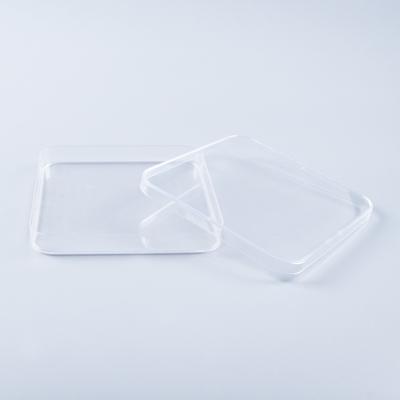 Cina Quadrato sterile Petri Dish Smooth Surface 90x15mm in vendita