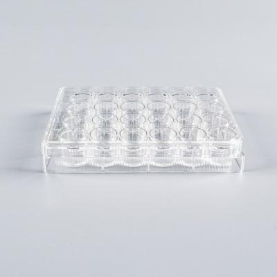 Cina Materiali di consumo sterili Microplate di plastica 24 del laboratorio del piatto di coltura cellulare di gamma in vendita
