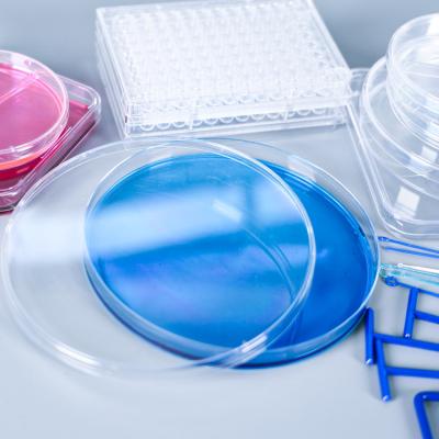Cina Piastre di Petri sterili monouso sterilizzate da laboratorio in plastica con coperchi in vendita
