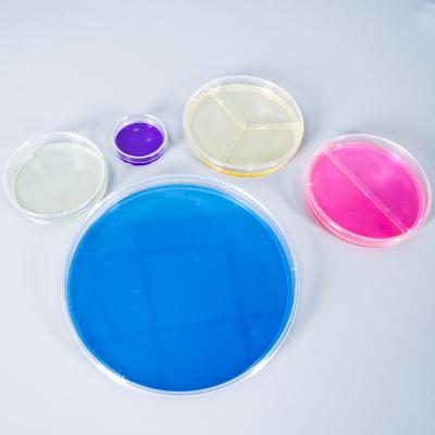 Cina Piastre di Petri sterili monouso sterilizzate da laboratorio in plastica con coperchi in vendita