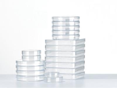 Cina Petri Dish Medical Laboratory sterile di superficie liscio in vendita