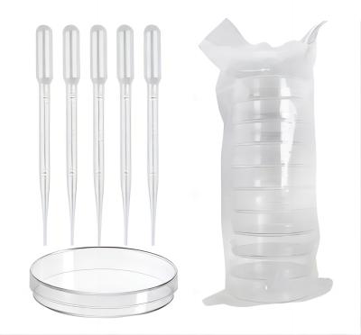 China Laboratory Plastic Petri Dish Transparent Sterile 90x15mm Te koop