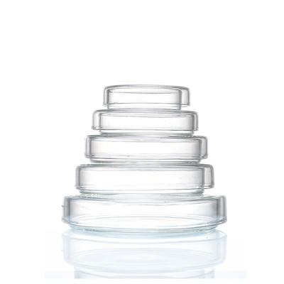 China Medical Sterile Plastic Disposable Culture Petri Dish 90mm Te koop