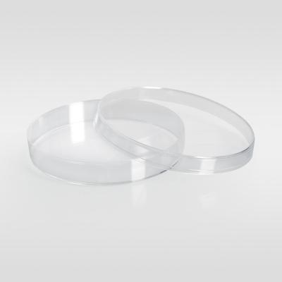 Cina Medical Sterile Plastic Disposable Culture Petri Dish 90mm in vendita