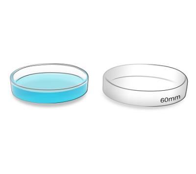 China Laboratoriumopschorting 60 X 15 Mm Petri Dish Cell Culture TC Behandeld Niet behandeld Petri Dish Te koop