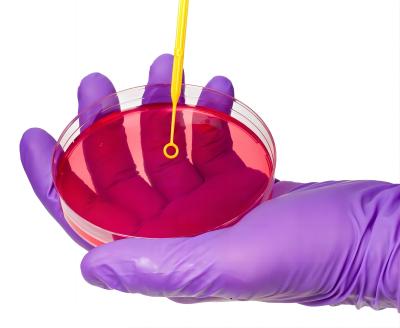 China Vlotte Oppervlakte Steriel Petri Dish Medical Laboratory Te koop
