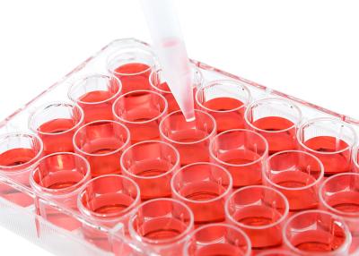 Cina Materiali di consumo sterili Microplate di plastica 24 del laboratorio del piatto di coltura cellulare di gamma in vendita