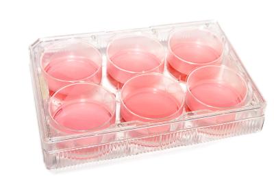 China Microbiologia buona del piatto di coltura cellulare del tessuto 6 di irradiazione gamma for sale