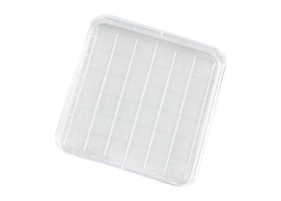 China Steriel Vierkant Petri Dish Smooth Surface 90x15mm Te koop