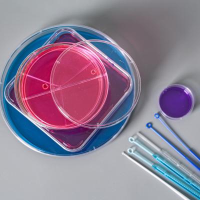 China Microbiología desechable Plástico 1ul 10ul Lazo de inoculación con raspador de células de aguja en venta