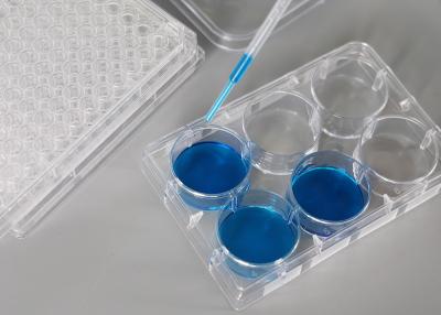 Cina Piatto multi--Bene di coltura cellulare del piatto di coltura cellulare del rifornimento della fabbrica del fondo piatto di plastica eliminabile del piatto in vendita