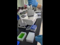 Lab Medical 12 Channel Micro Lab Pipettes 0.5-300ul
