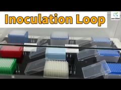 Medical Lab Inoculation Loop T Shaped Pure Polystyrene With Smooth Rounded Surfaces