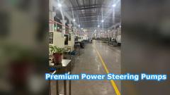 High Quality Power Steering Pump OEM Factory Production