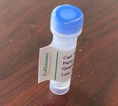 China Calcitonin (salmon I), 47931-85-1 for sale