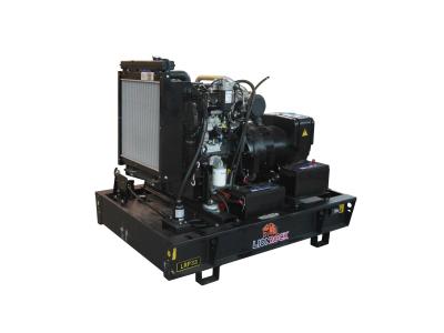 Cina 830kg un generatore diesel da 35 KVA, un generatore di 28 chilowatt con il motorino di avviamento 12VDC in vendita
