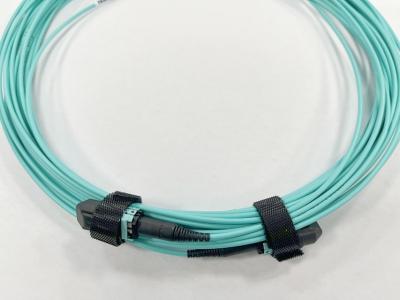 8F OM4 2mm OD MPO(F)-MPO(F) タイプ B OFNP 低損失 13m