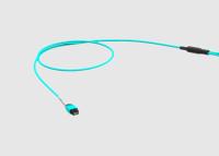 China 3.0mm 100G OM4 MPO Fiber Cable 16F to 2x8F Distribution Trunk for Data Center for sale