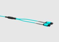 China 3.0mm 100G OM4 MPO Fiber Cable 16F to 2x8F Distribution Trunk for Data Center for sale