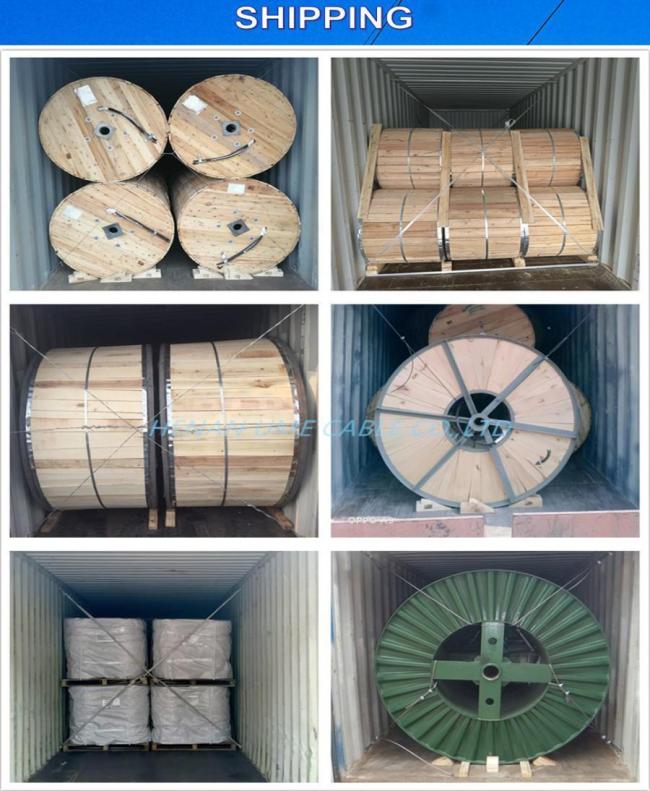 GB/T1179-2008 Standard Aluminum Conductor Aluminum Alloy Reinforced 10/7 15/10 24/20 40/30 60/45 80/50sqmm Stranded Bare Conductor ACSR