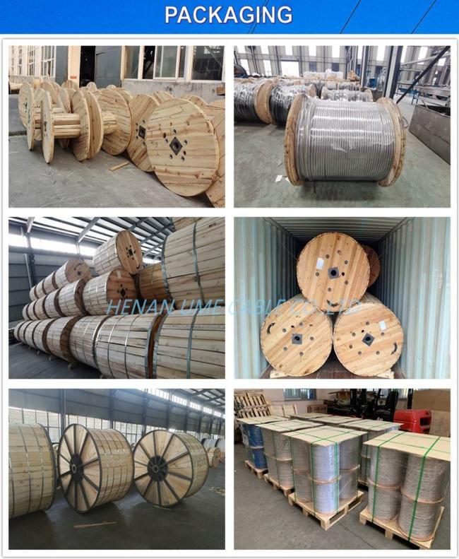 Electrical Ground Good Corrosion Resistance of Copper and High Tensile Strength of Steel 40%Iacs CCS Electric Wire
