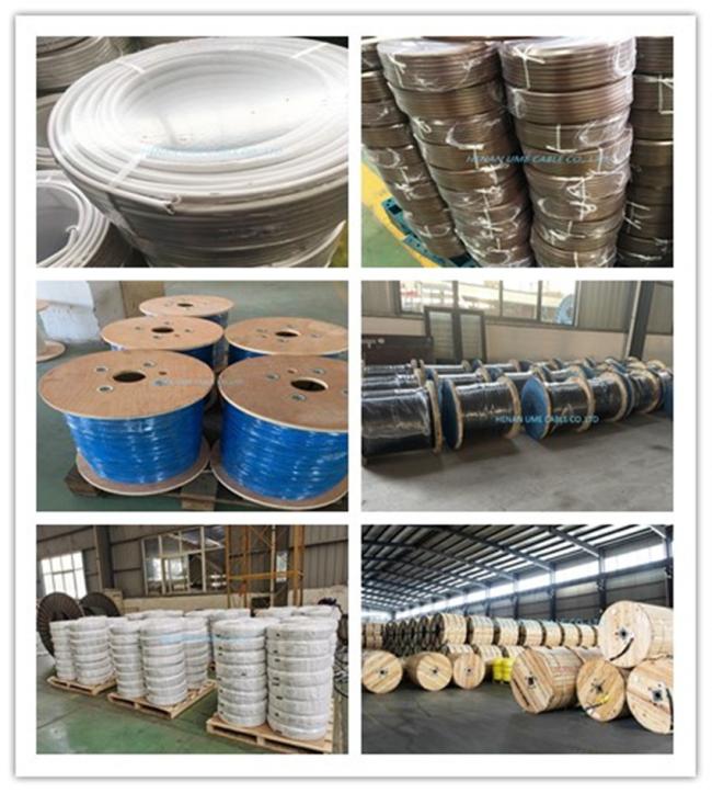 IEC Outstanding Underground Control Cable Ysly-Jz/-Jb/-Oz/-Ob PVC Insulated PVC Jacket Flexible Copper Control Cable 2/4/7/10/12X1.0 1.5 2.5 4 6mm2