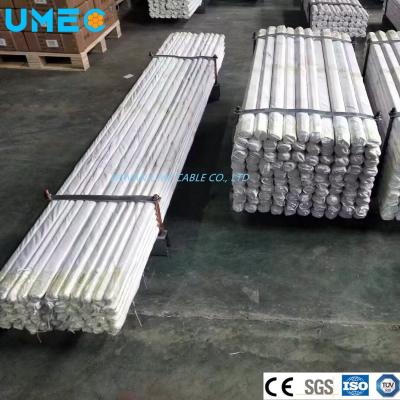 Cina Stagno di messa a terra in acciaio a basso tenore di carbonio Q235 SAE1010 SAE1020 Sistema di protezione dell'illuminazione 3/4 Prime in vendita