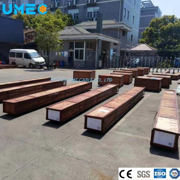Quality Third Party Inspection Accepted Copper Clad Steel Ground Rod For Electronic for sale