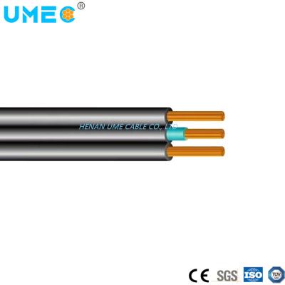 Cina 2X10AWG 3X10AWG Spt cavo di filo di estensione Zip cord materiale conduttore rame OEM accettato in vendita