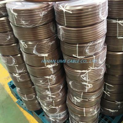 China BVVB E Twin Earth Electric Cable Solid/Stranded Copper Twin and Earth Sheath Cable for sale