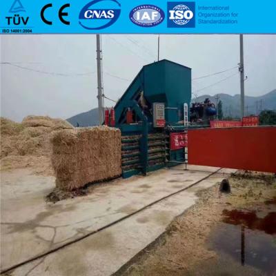 China China Removable Horizontal Straw Baler with Conveyor Belt for sale