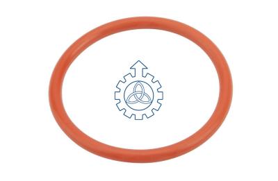 China O-ring 5003065203 for sale
