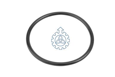 China O-ring 5003065068,635290 for sale
