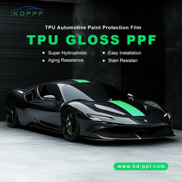 Quality Heat Repair 10 Years Warranty Gloss Paint Protection Film PPF Custom Vinyl Wrap for sale