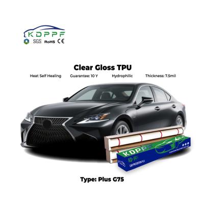 Cina 10 anni di garanzia Tpu Ppf Tpu Ppf Tpu Ppf in vendita
